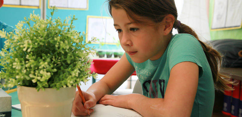 Health & Well-Being - Colonel Sanders School