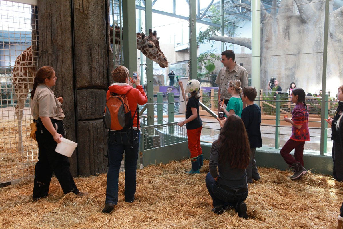 May 27-31 Update - Colonel Sanders School